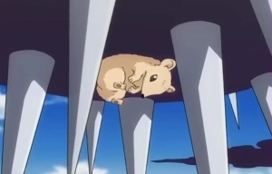 Roll | 13th Generation Reborn Wiki | Fandom