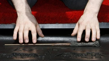 How many spongebob(s) to defeat your pfp? | Fandom