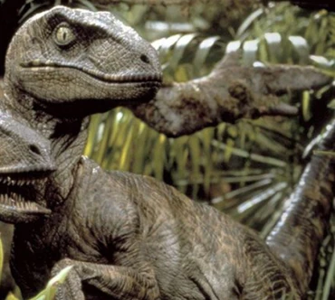 What do you think is the best raptor | Fandom