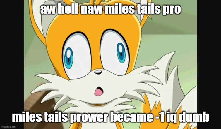 Tails Memes 6 (it's back!) | Fandom