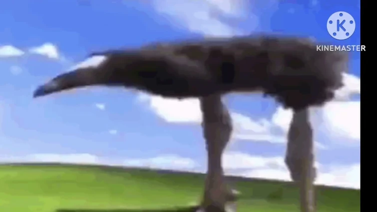 WHERE IS AQUILA UPDATE?! IS SWA PLAYING THE BLACK MESA INCIDENT? OR ...