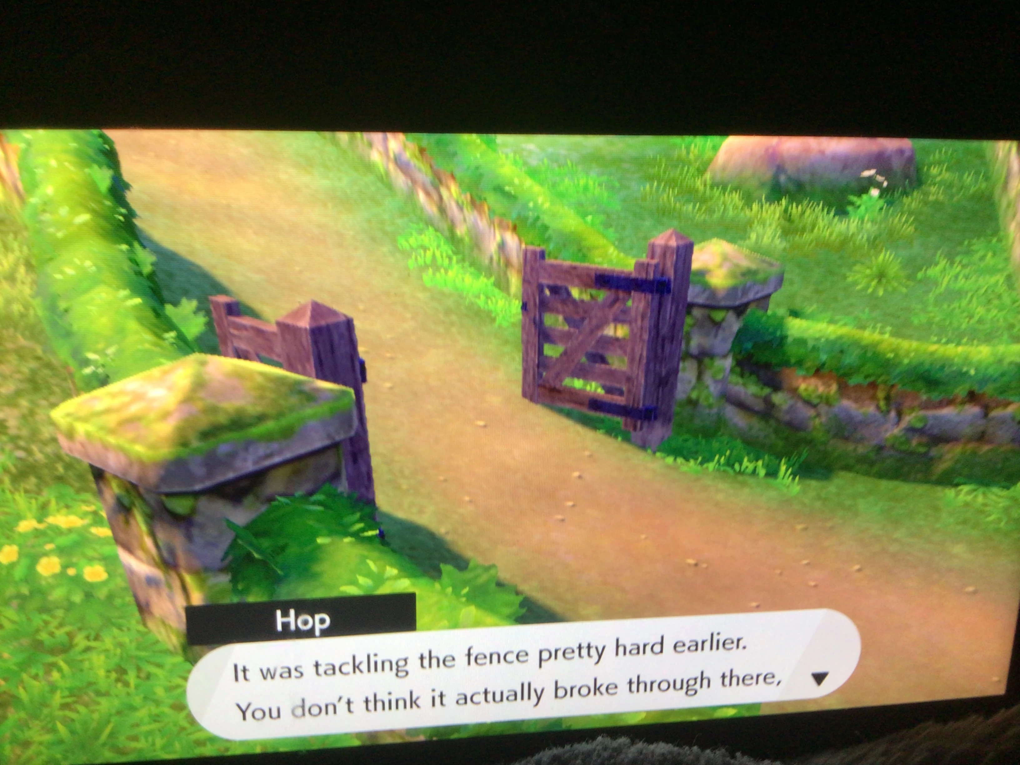 The Fandom Pokémon play through part 3 | Fandom