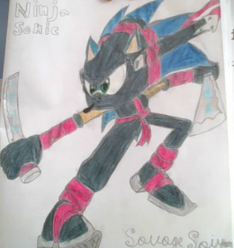 Ninja Sonic | Fandom