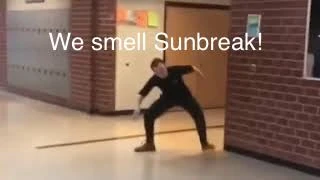 A meme about Monster Hunter Rise Sunbreak | Fandom