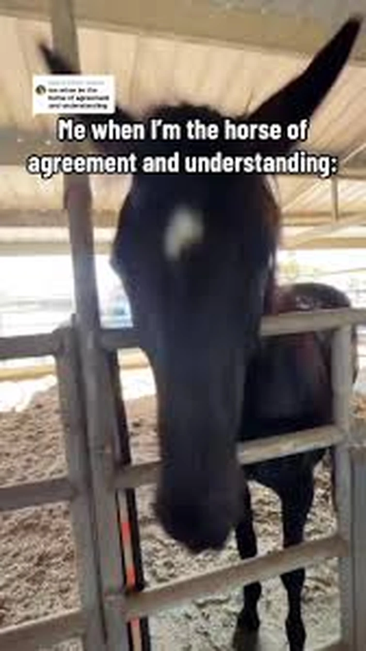 Boundaries update | Fandom