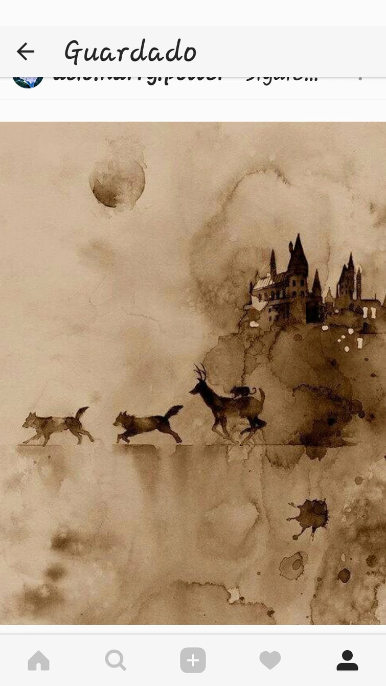 Los merodeadores :'D | Fandom