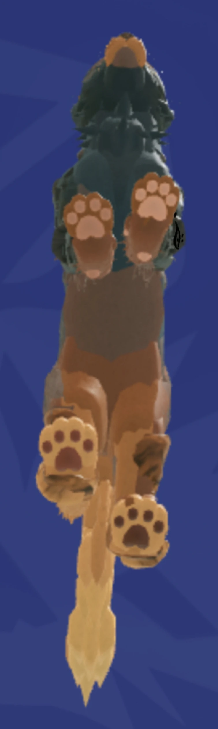 work in progress for the morph contest | Fandom