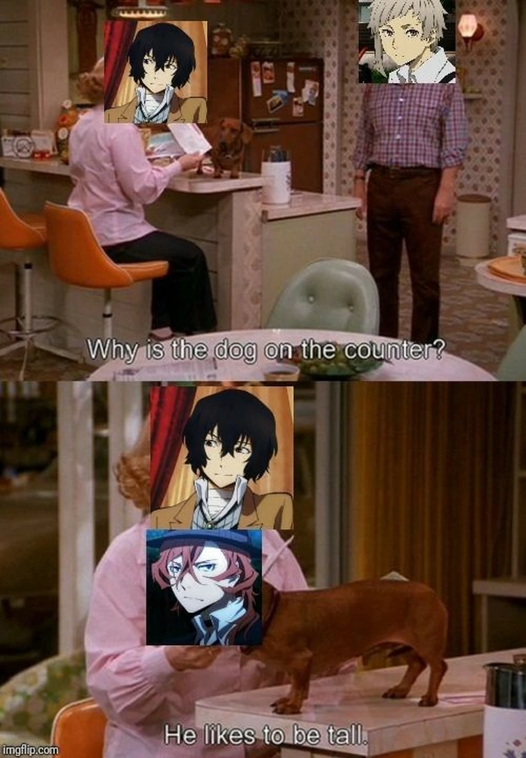 WEEKLY DOSE OF BSD MEMES | Fandom