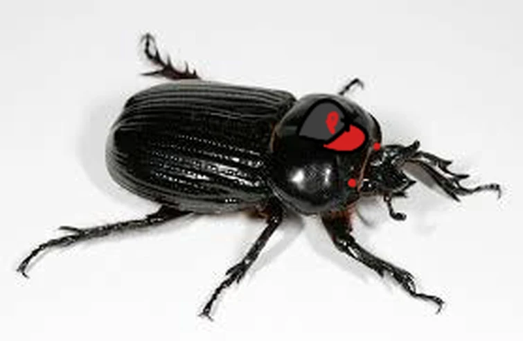 Discuss Everything About Regretevator Wiki | Fandom