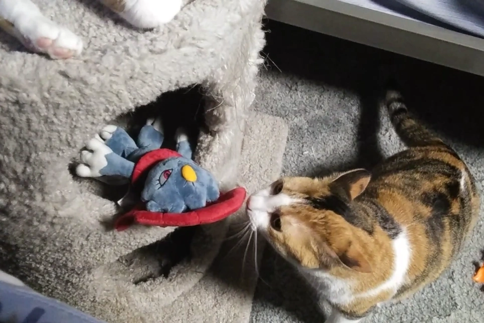 me resisting the urge to browse the wiki | Fandom