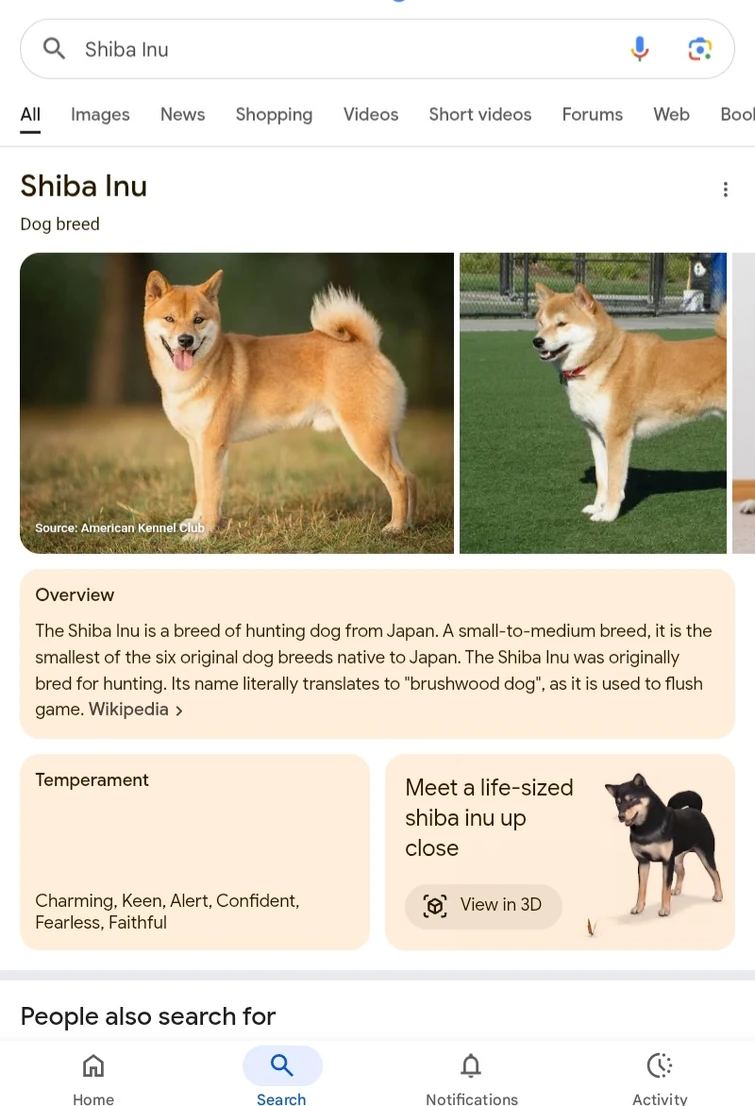 we are getting doge let's go! | Fandom