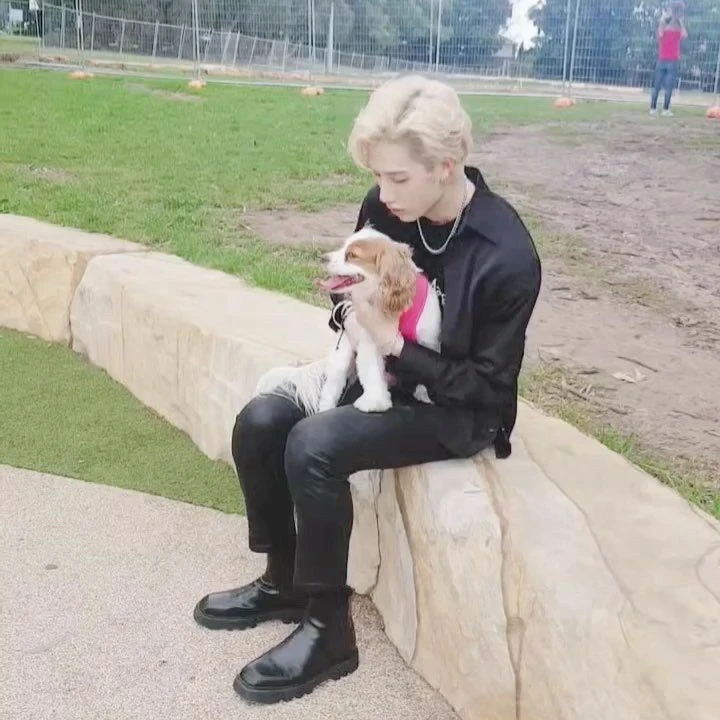 Chan's Dog, Berry (apologies for double post) | Fandom