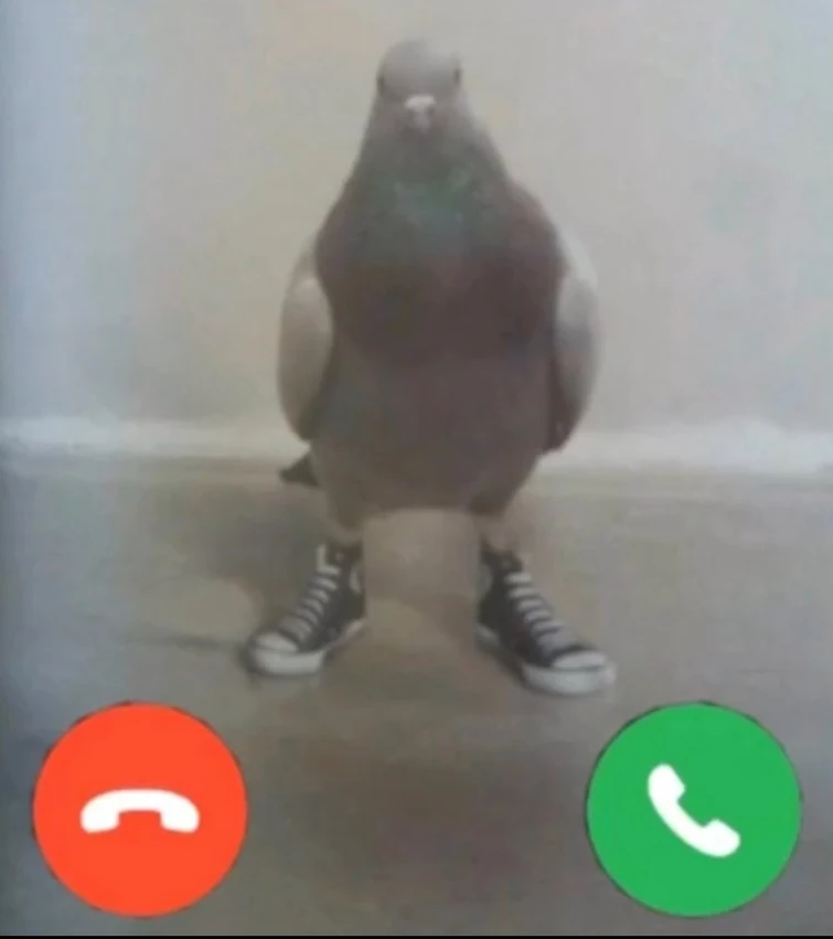 maybe i do like rocky | Fandom