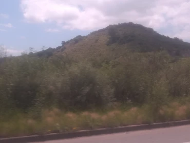 Opinion on fish stapler | Fandom