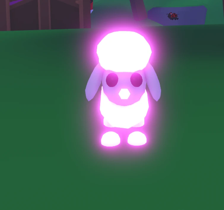 All the neon pets I got this weekend | Fandom