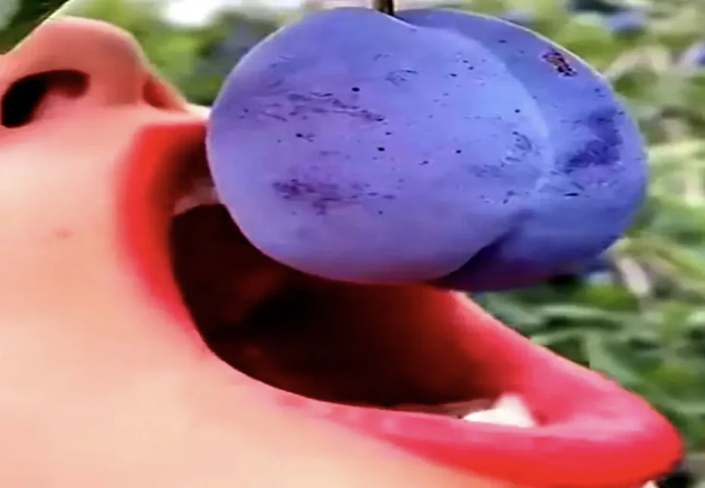 OH NO MY NUTS | Fandom