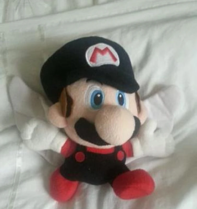Anyone can help me find this plush? | Fandom