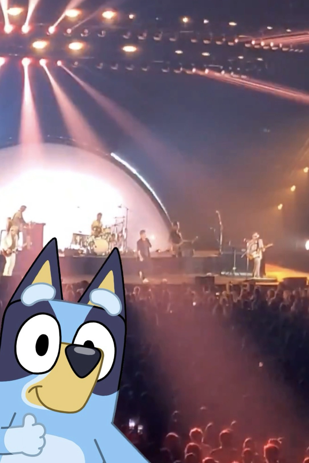 It’s 3AM and Bluey must be lonely Tuesday night back in Brisbane. | Fandom