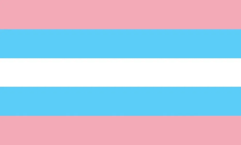 Transsexual flag coining (Primary?) | Fandom