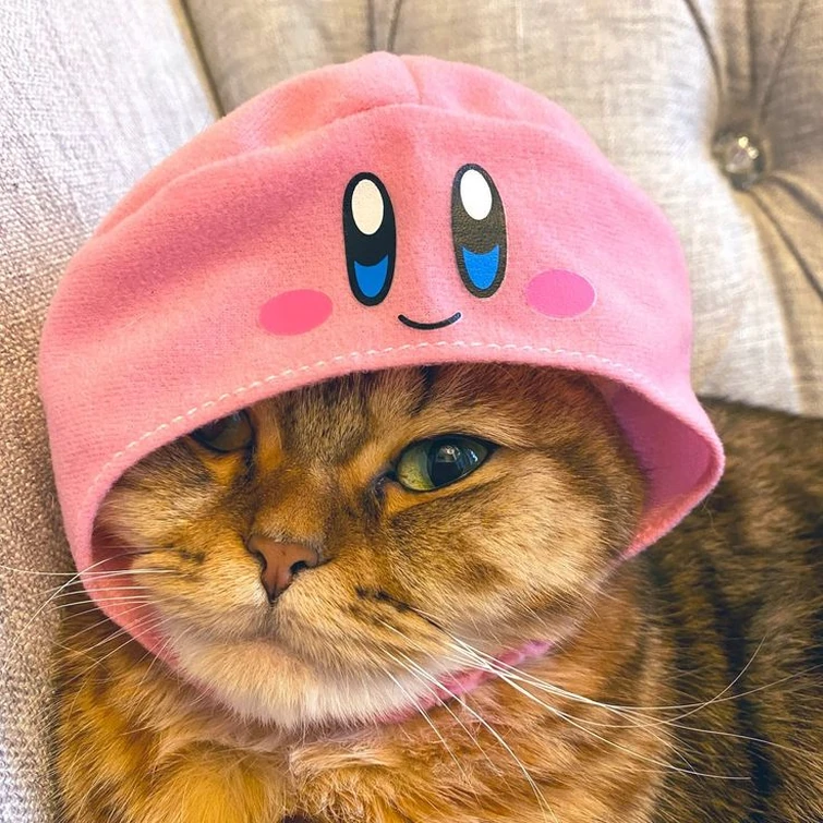 Discuss Everything About ItsFunneh Wikia | Fandom