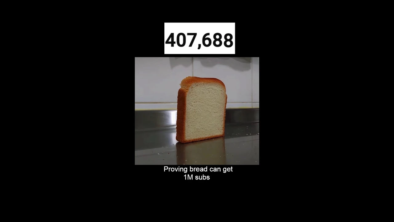 best streamer | Fandom