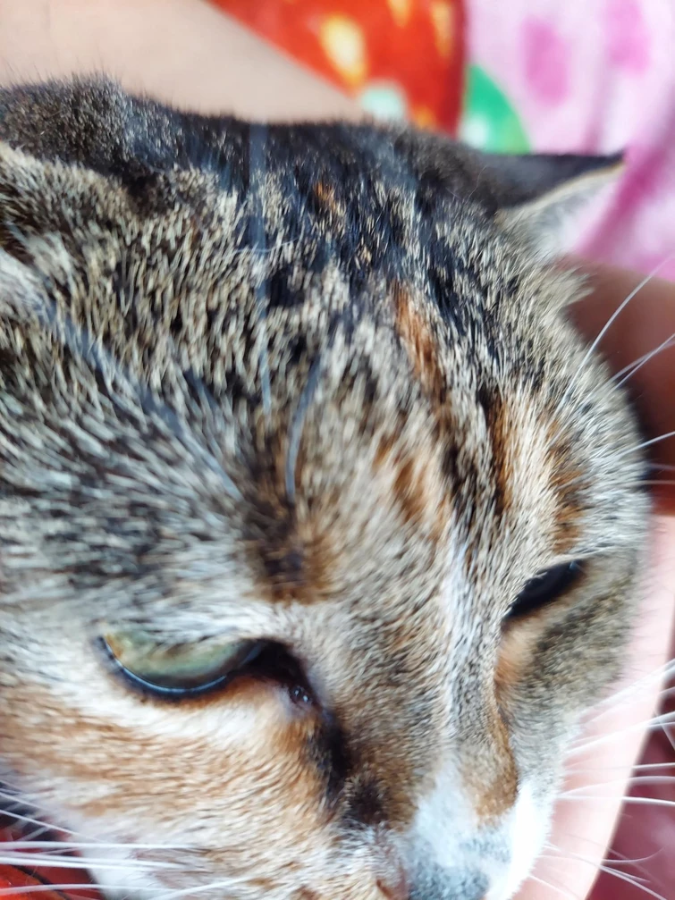 Stupid Kat/hj | Fandom