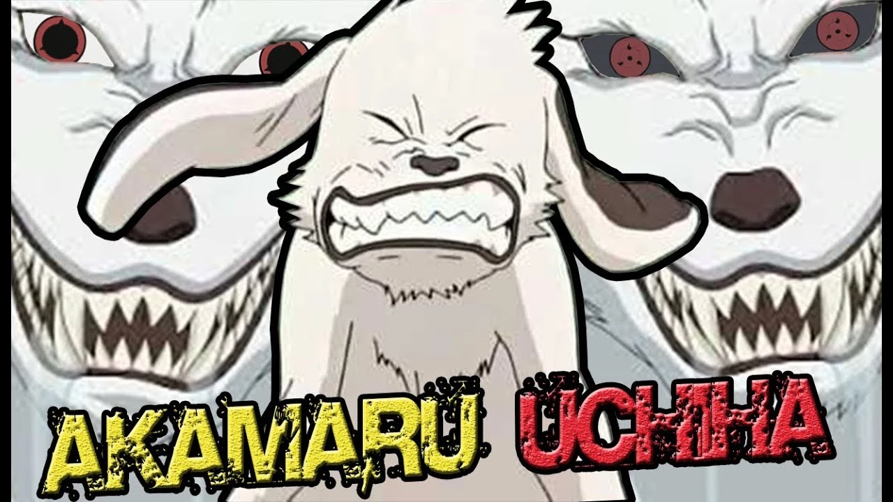 Akamaru com Sharingan | Fandom