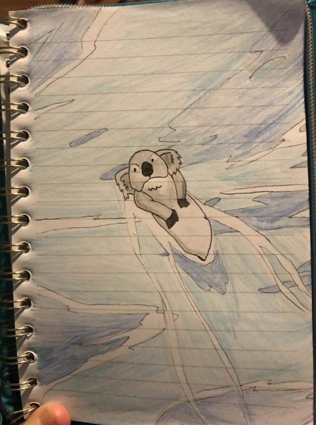 This is my koala-otter drawing, I hope you like it. | Fandom