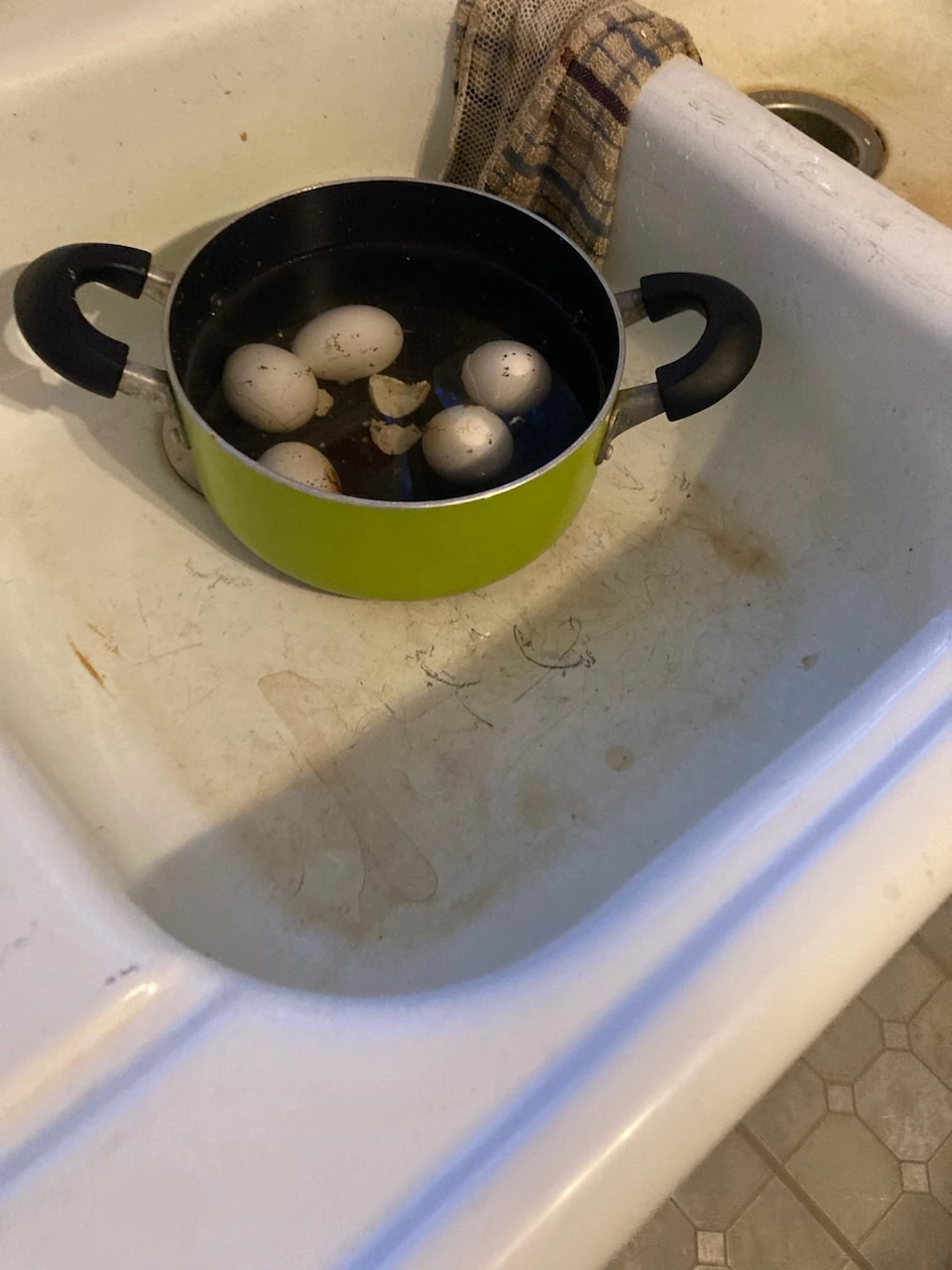 Did you know eggs explode if they get to hot? | Fandom