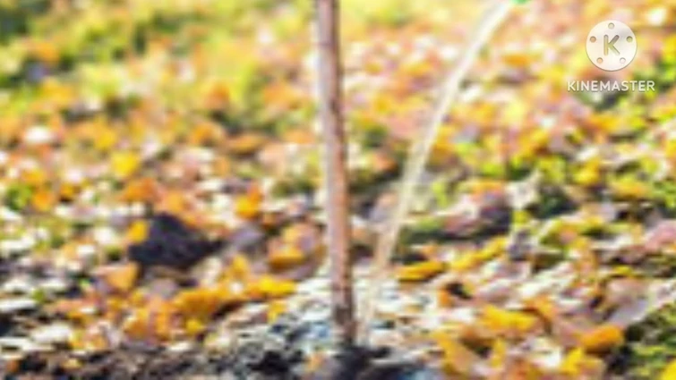 Sing Along With Slowpoke deleted scene: Tom ties Slowpoke Antonio into ...