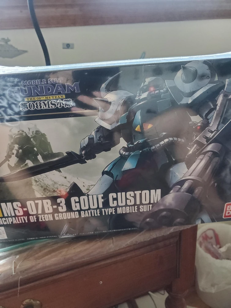 I just bought the gouf custom | Fandom