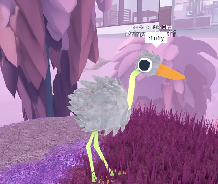 Discuss Everything About Roblox BIRD Wiki | Fandom