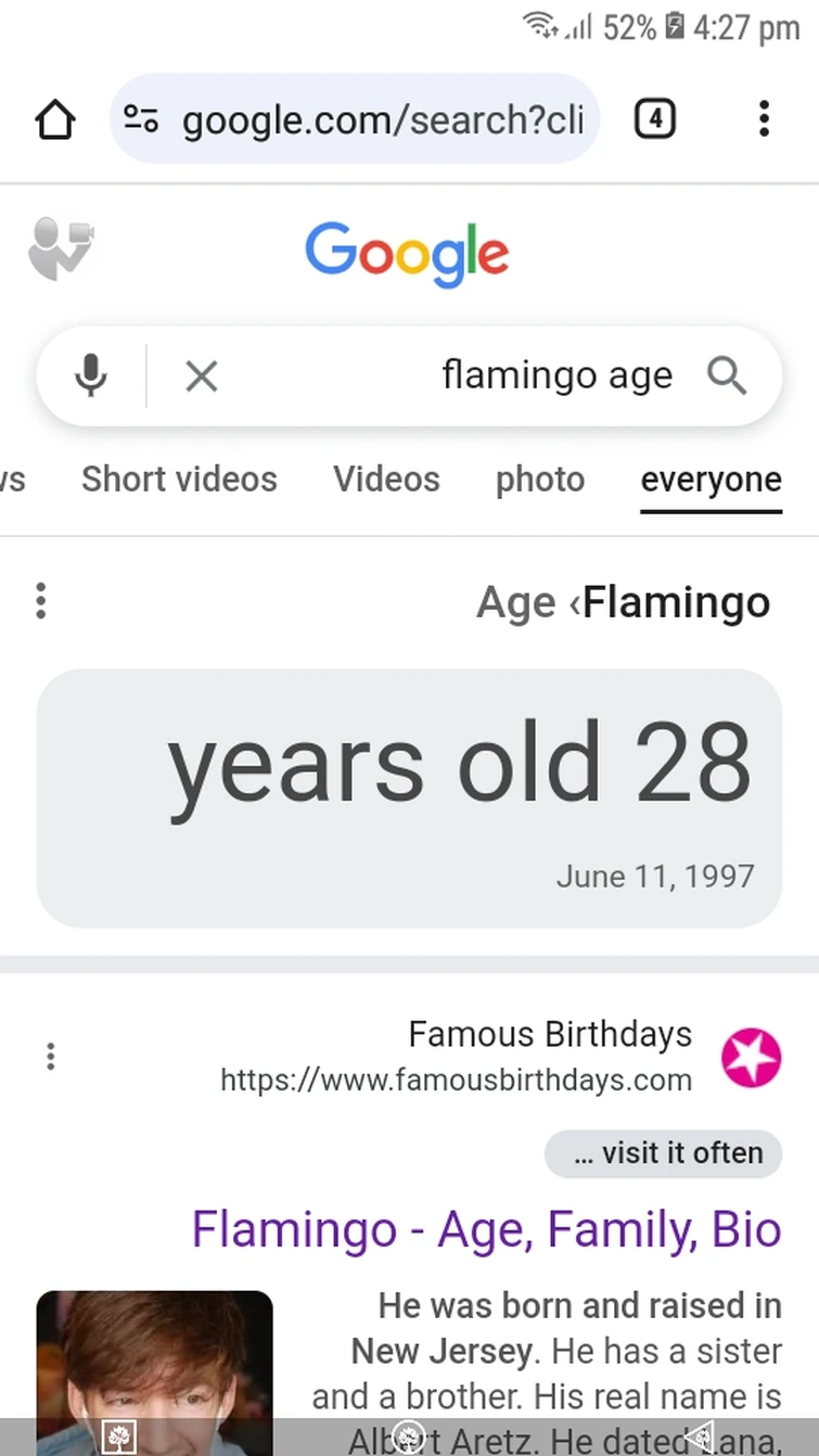 Happy ( late ) Birthday flamingo! | Fandom
