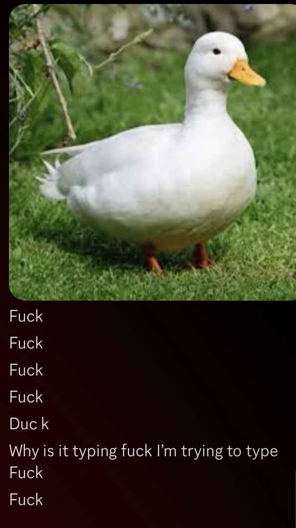 So uhh.. I just had a interesting interaction. | Fandom