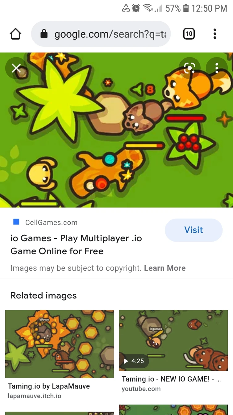 Discuss Everything About Taming.io Wiki | Fandom