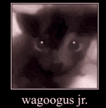 do you wagoogus jr sometimes | Fandom