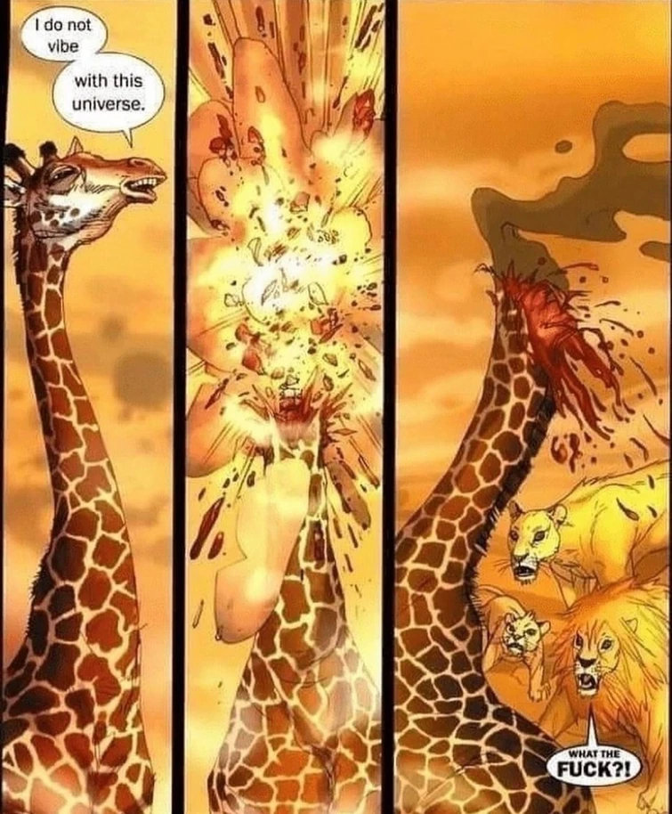 “Enjoy your next 24 hours” | Fandom