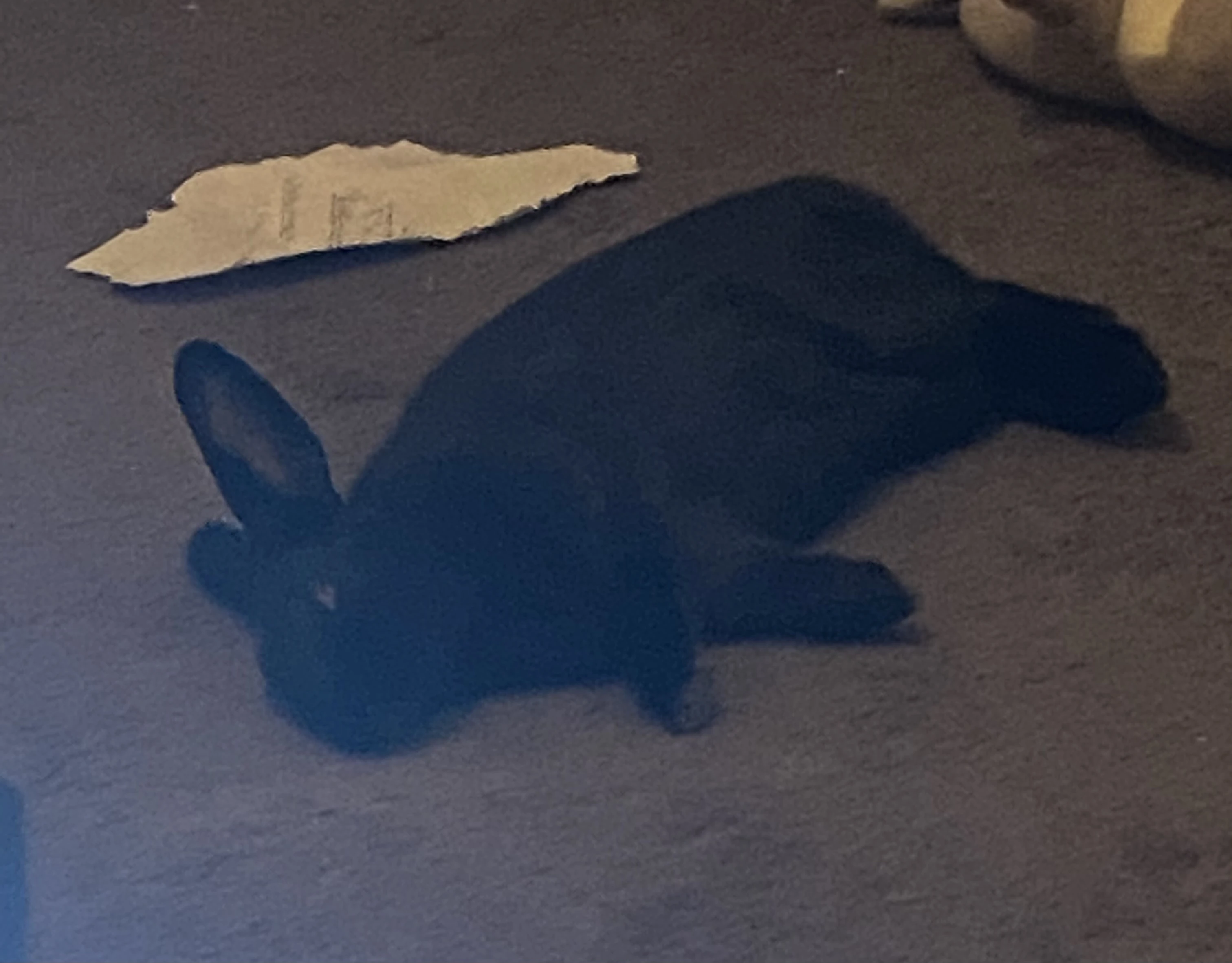 Sleepy time! | Fandom