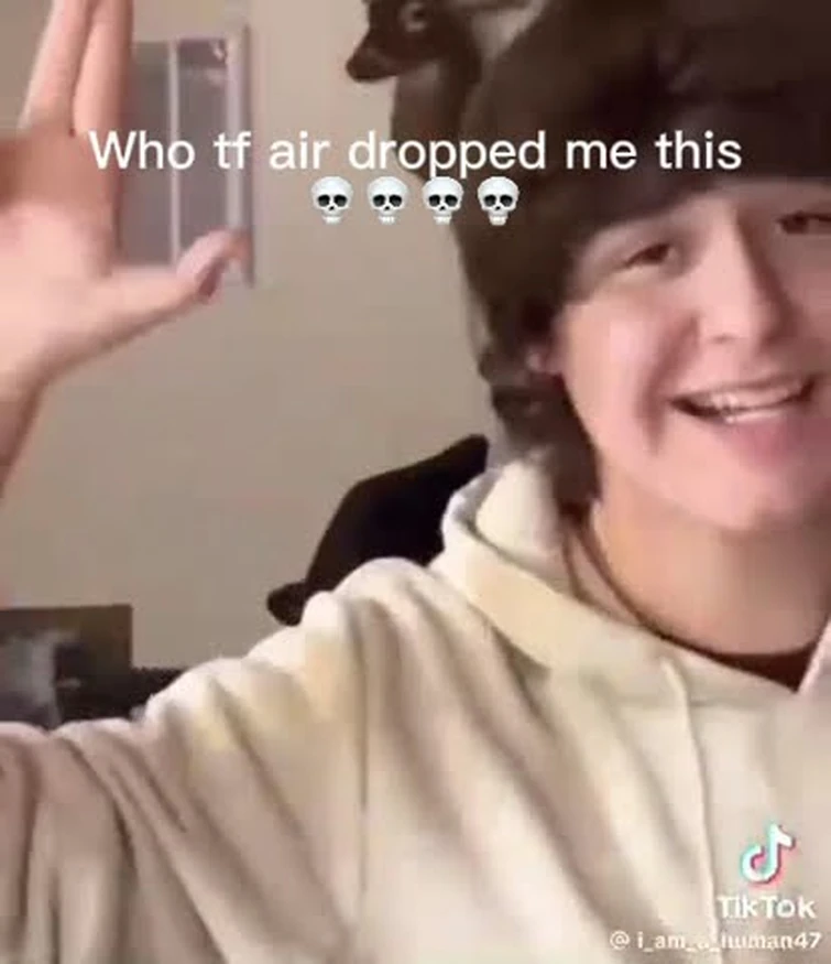 tf... | Fandom