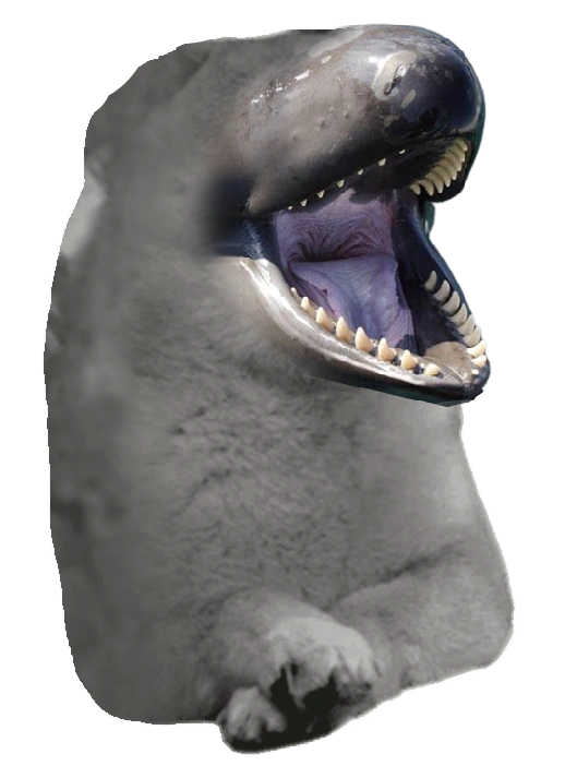 bjkb..l/;'up;hghjhn | Fandom