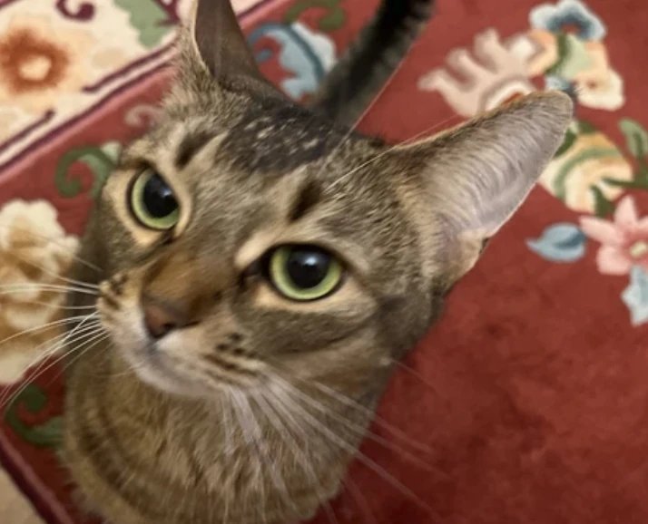 ITS 2 AM HELP | Fandom