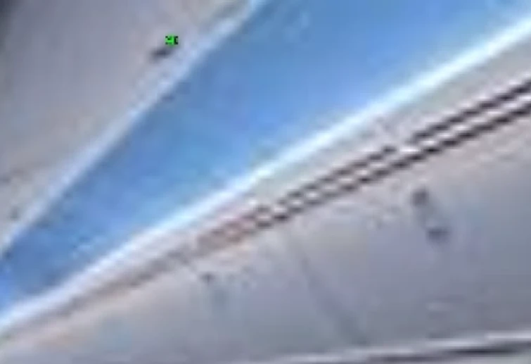 Find The TTD Wikians | Fandom