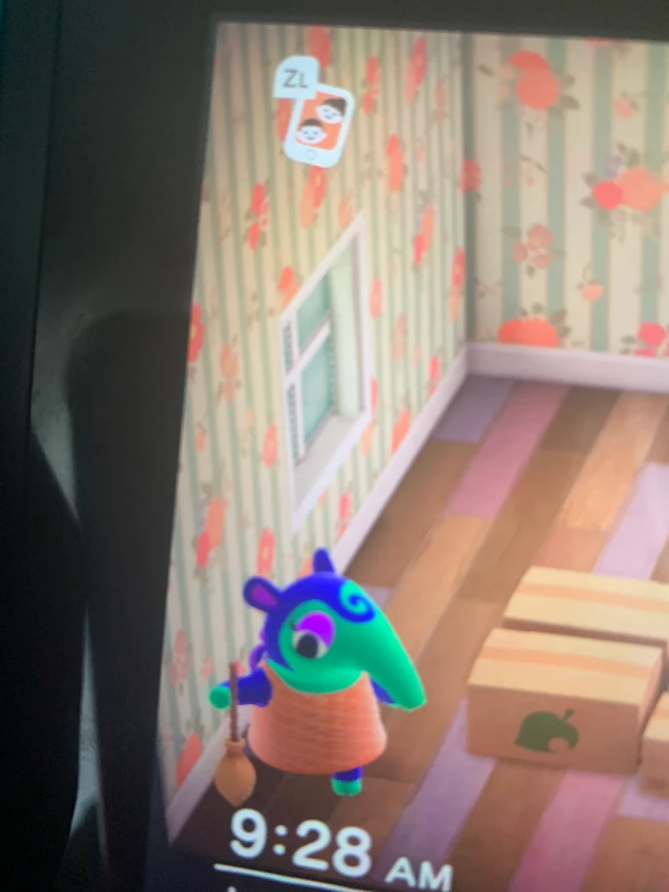 Discuss Everything About Animal Crossing Wiki | Fandom