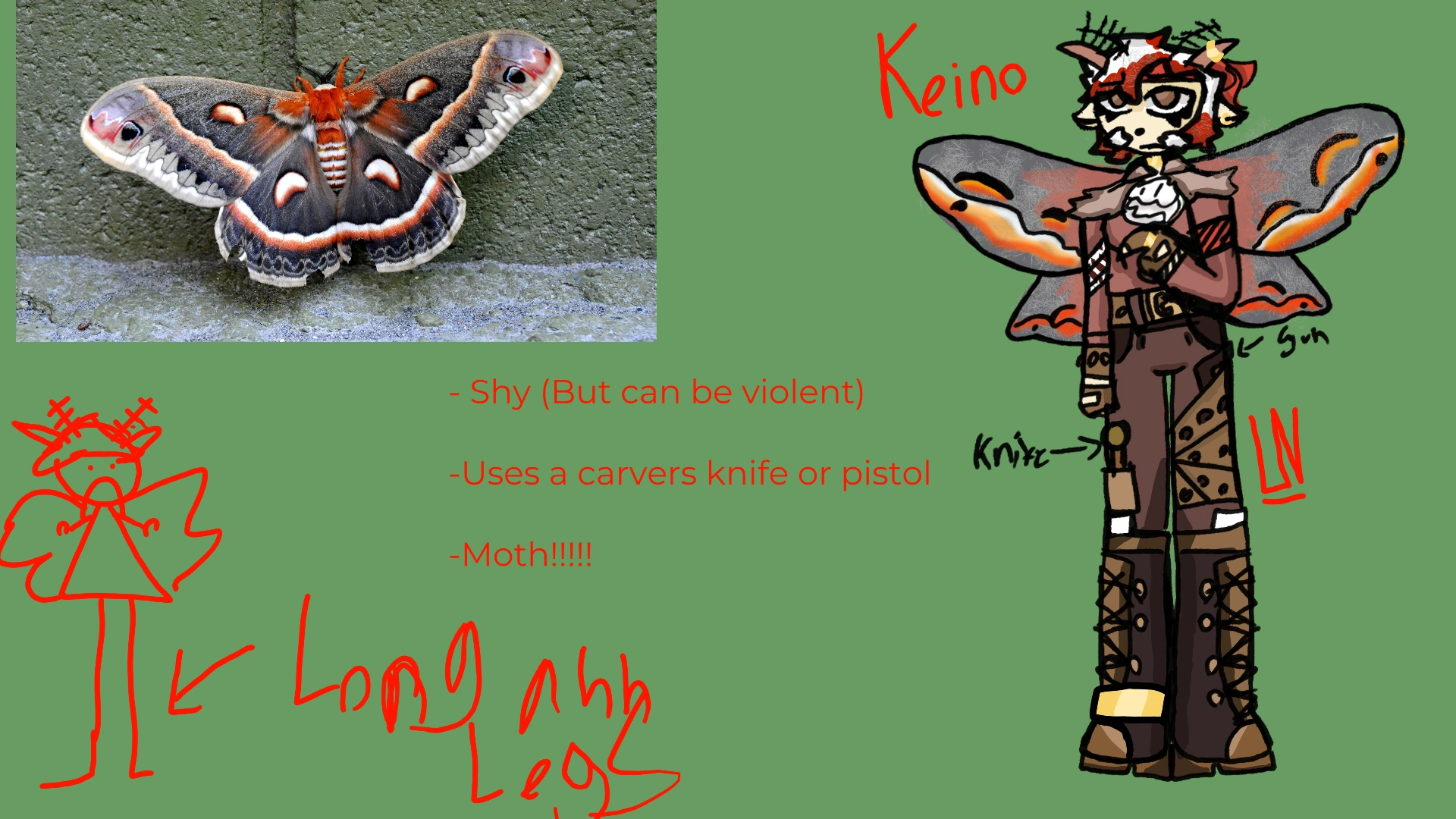 Moth Pirate😍 | Fandom