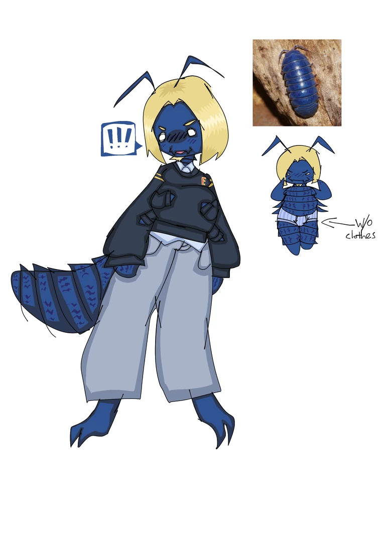 Chat guess these miis based on the insect anthros | Fandom