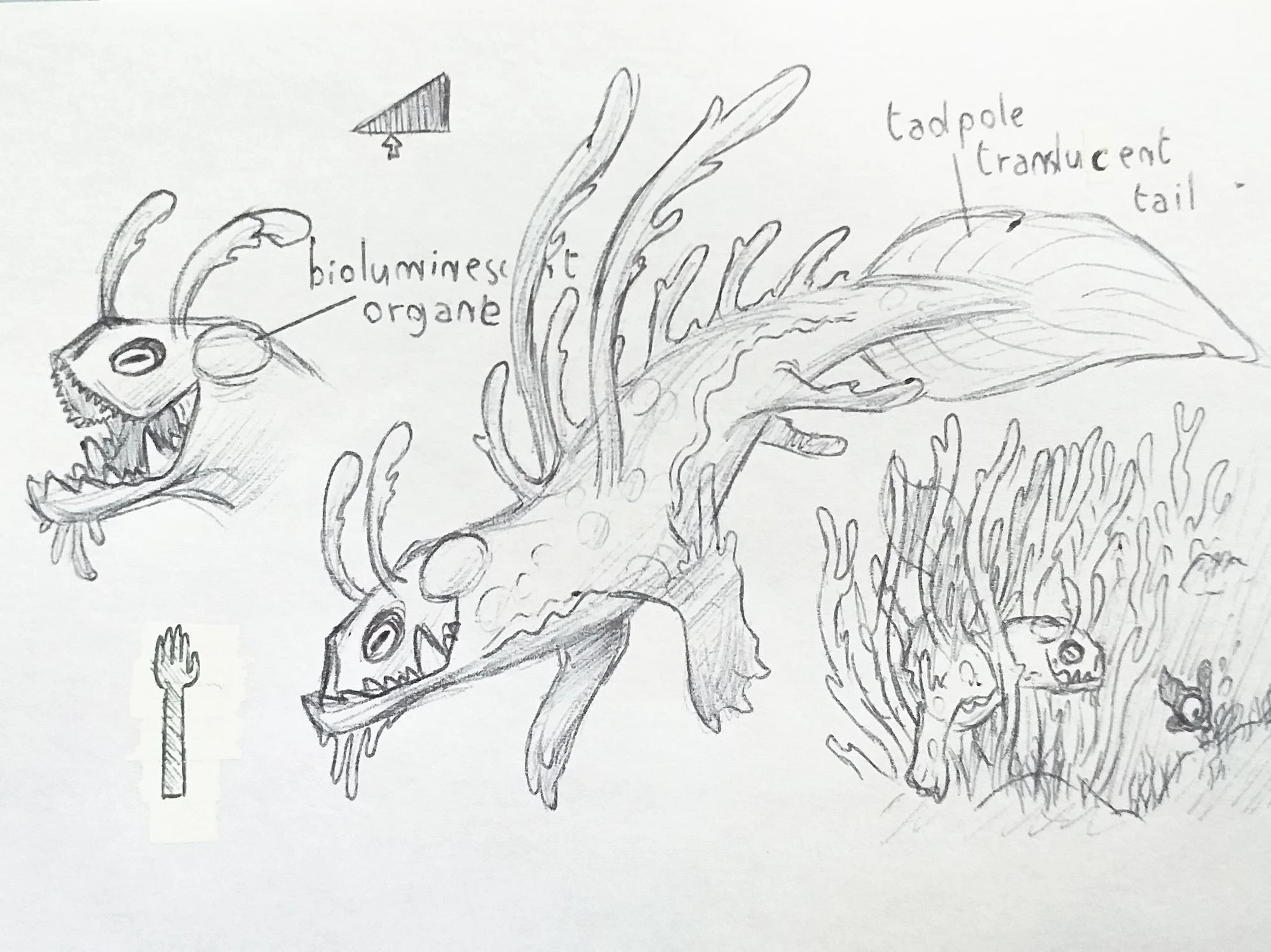 The Ogre shark | Fandom