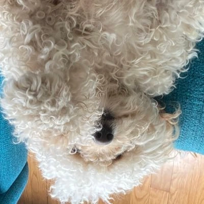 WHAT THE HUH? | Fandom