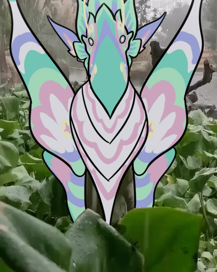 Staring Fairiocris | Fandom