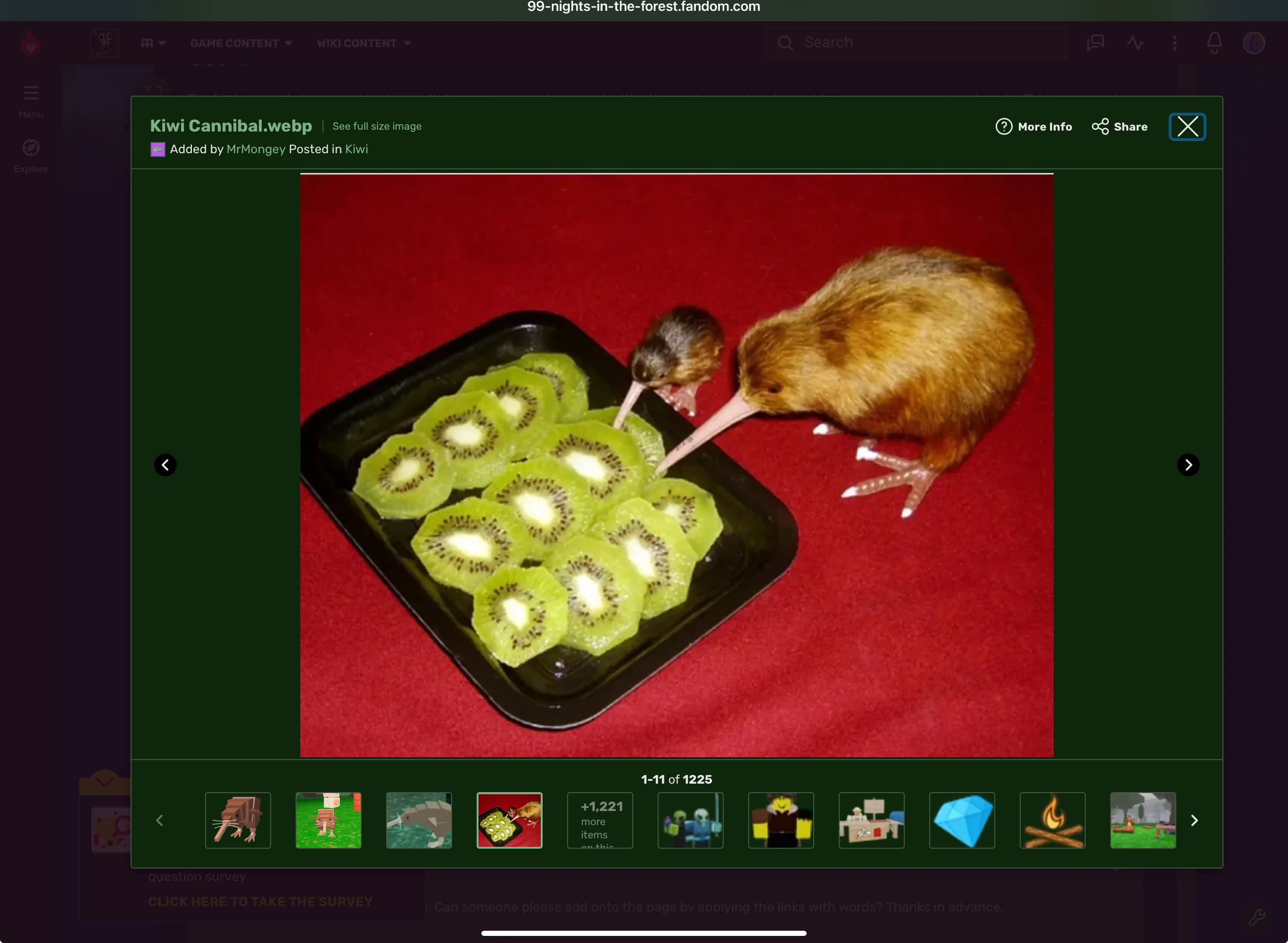 Lol this makes the kiwi’s page even better | Fandom