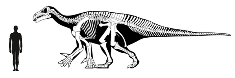 Prehistoric death battle ultimate S5 GC1 | Fandom